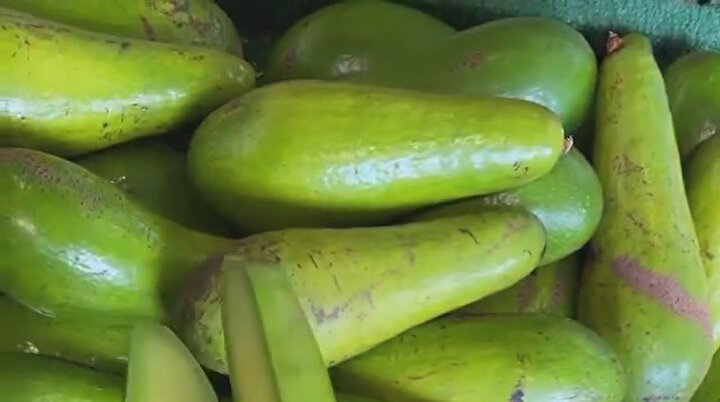 Kaymak Gibi Avokado Videolu GZT Lokma