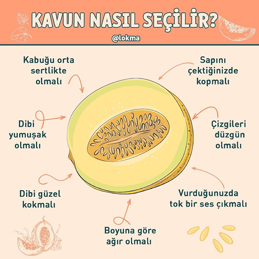 Kavun nasıl seçilir? Kavun nasıl seçilir?