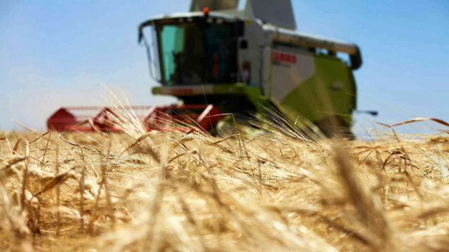 India to provide free food grains to over 800 million poor people for 1 ... India to provide free food grains to over 800 million poor people for 1 ...