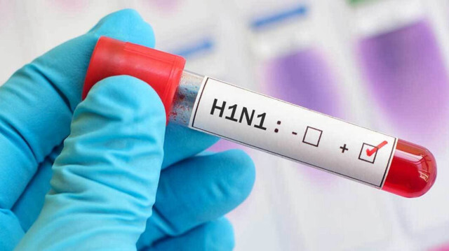 İngiltere'de ilk kez bir kişide domuz gribinin A(H1N2)v türü görüldü | Avrupa Haberleri